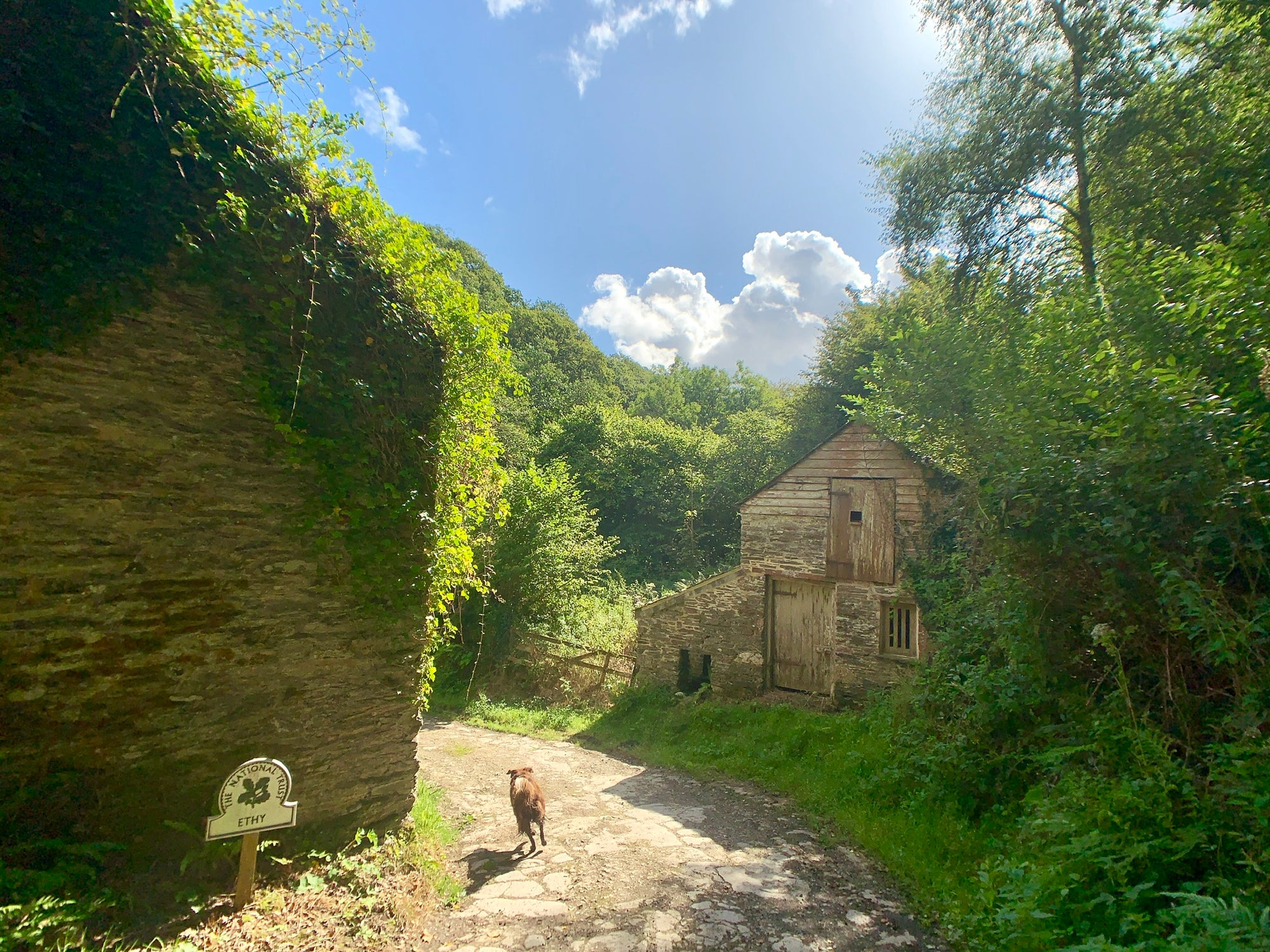 The River Fowey adventure... - sprockies