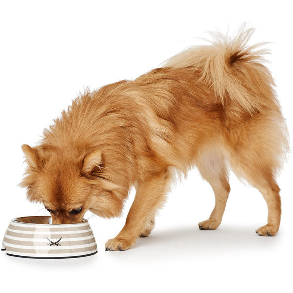 Hunter Dog Bowls - sprockies